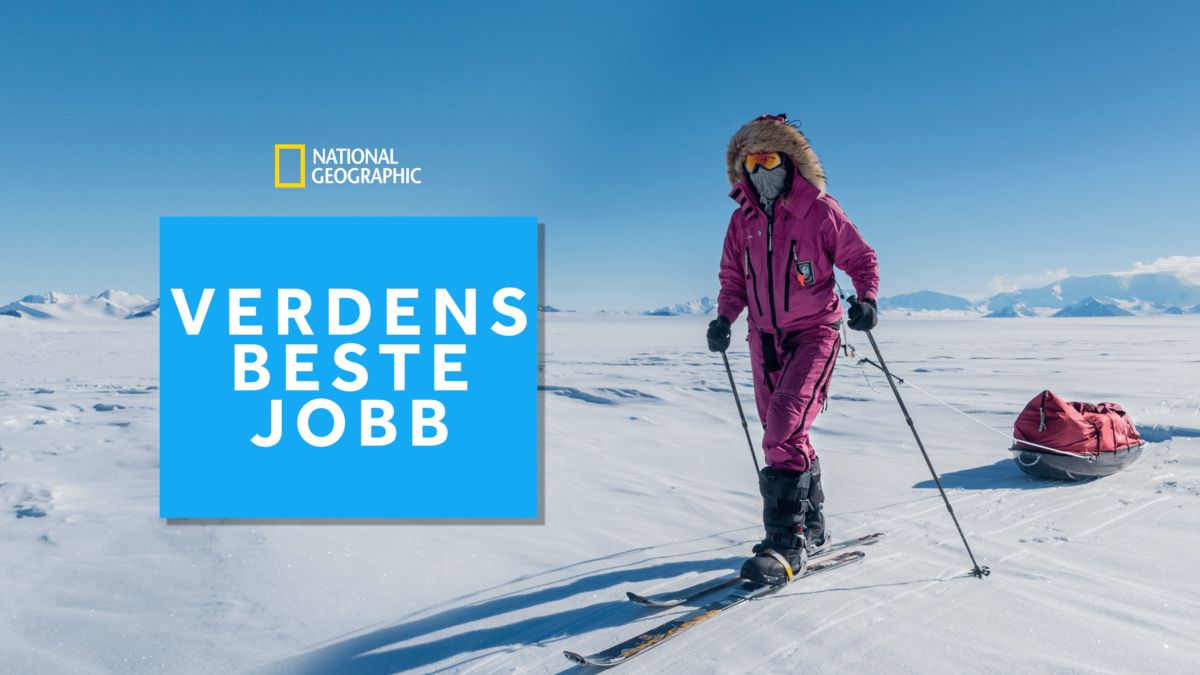 Se hele episoder av Verdens beste jobb | Disney+