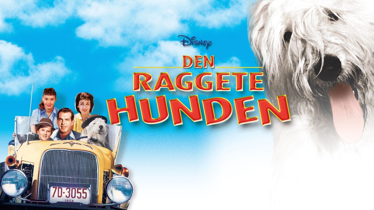 Den raggete hunden | Disney+