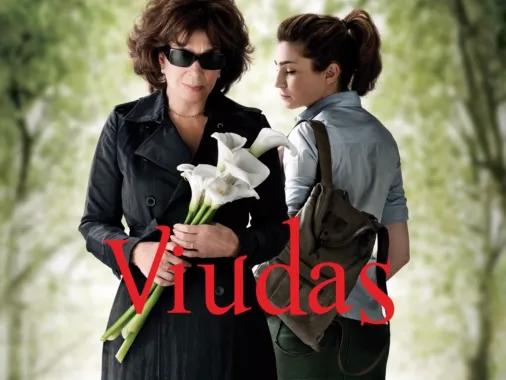 Watch Widows | Disney+