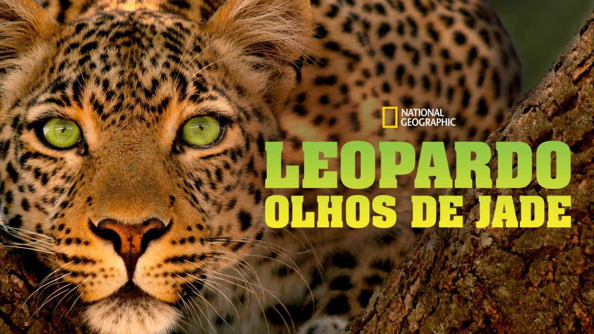 Ver Leopardo olhos de jade | Filme completo | Disney+