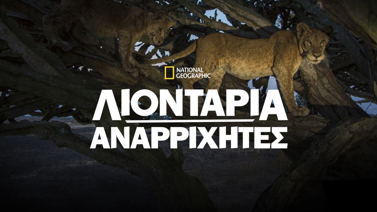 Δείτε το «Λιοντάρια Αναρριχητές» | Disney+