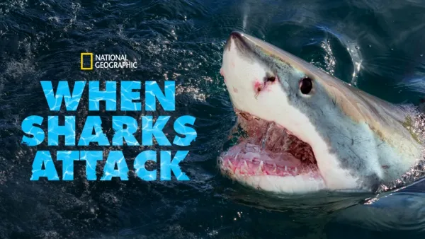 Watch Shark Attack Files | Disney+