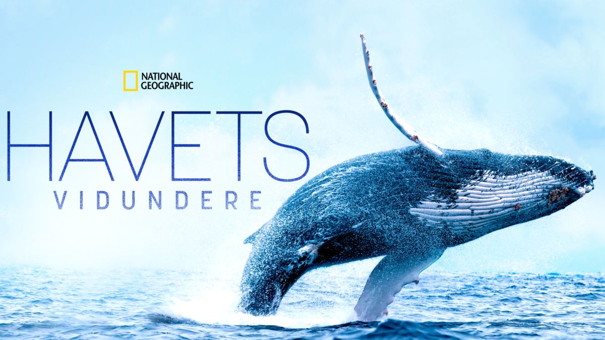 Se hele afsnit af Havets vidundere | Disney+