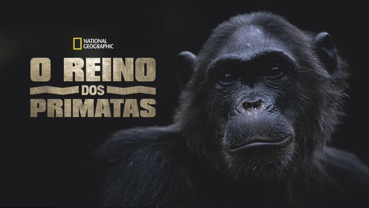 Assistir a O Reino dos Primatas | Disney+