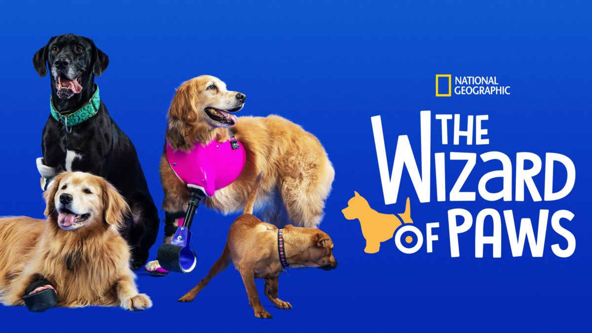 Pozerajte The Wizard of Paws | Disney+
