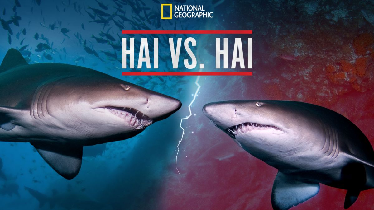 Hai vs Hai | Disney+