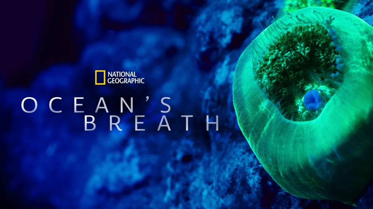 Oglądaj Ocean's Breath | Disney+