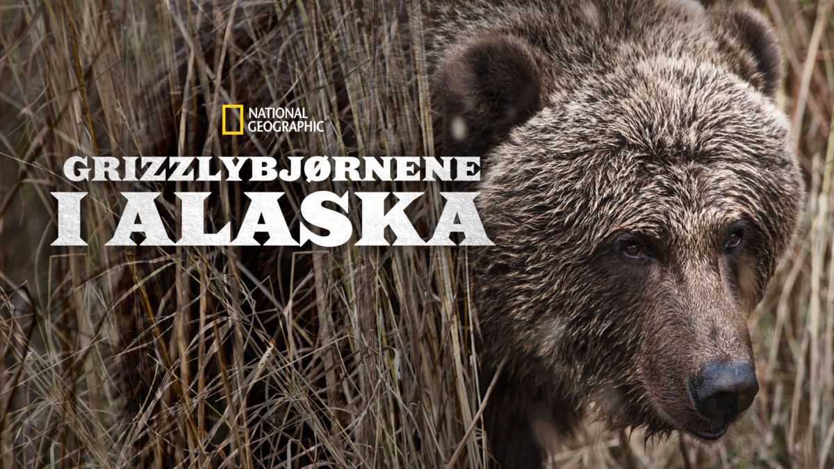 Se hele episoder av Grizzlybjørnene i Alaska | Disney+
