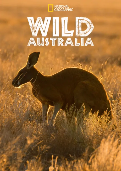 Watch Wild Australia | Disney+