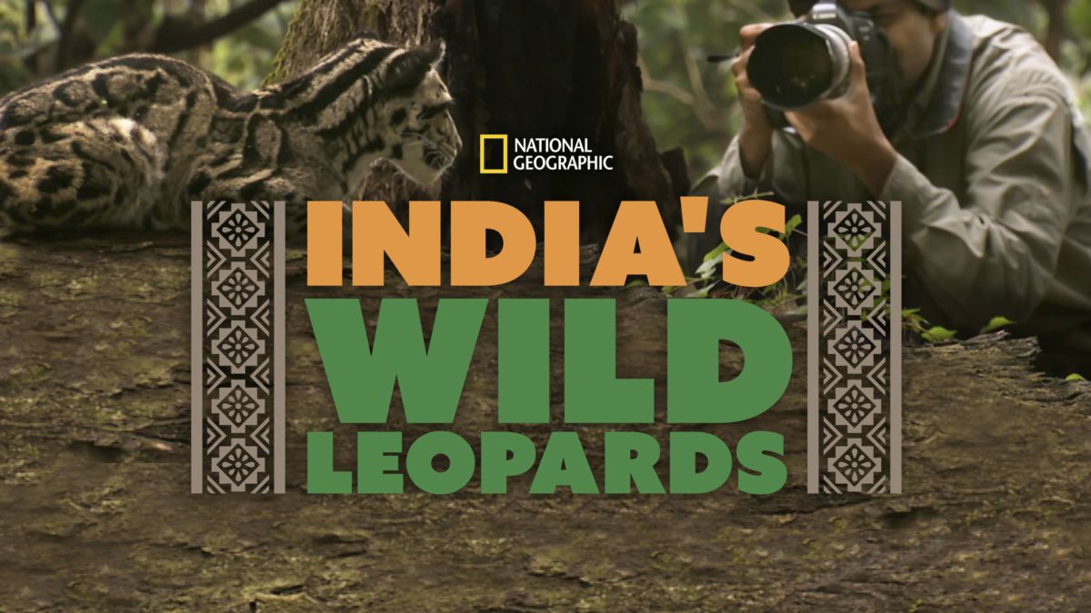 India's Wild Leopards | Disney+