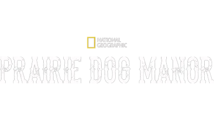 Watch Prairie Dog Manor | Full episodes | Disney+