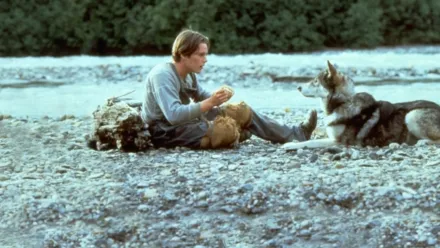 Watch White Fang | Disney+