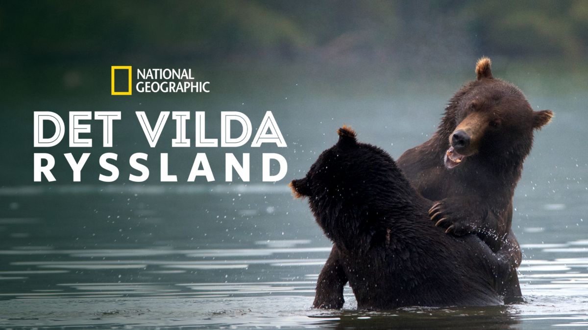 Titta på Det vilda Ryssland | Hela avsnitt | Disney+