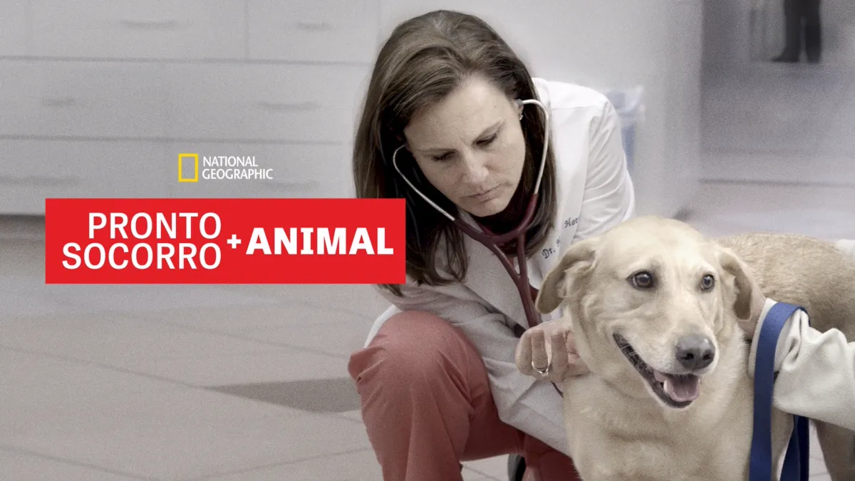 Assistir a Pronto-Socorro Animal | Disney+