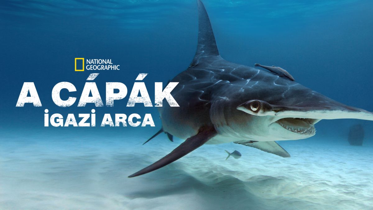 A cápák igazi arca | Disney+
