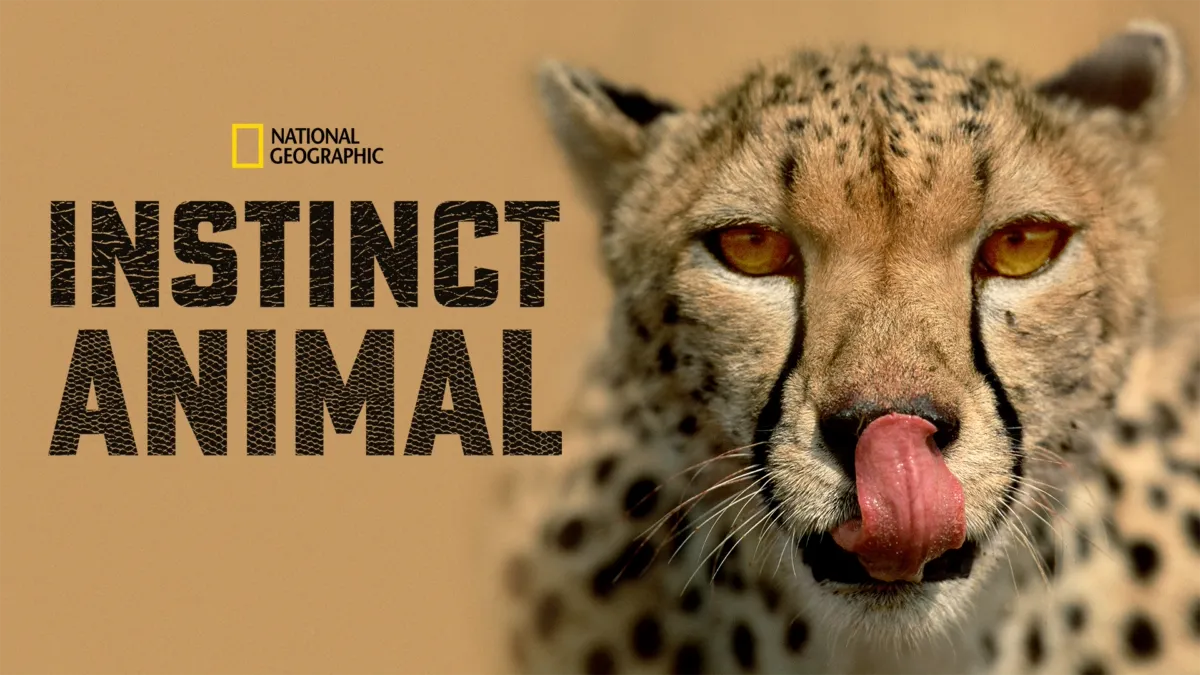 Regarder Instinct Animal | Épisodes complets | Disney+