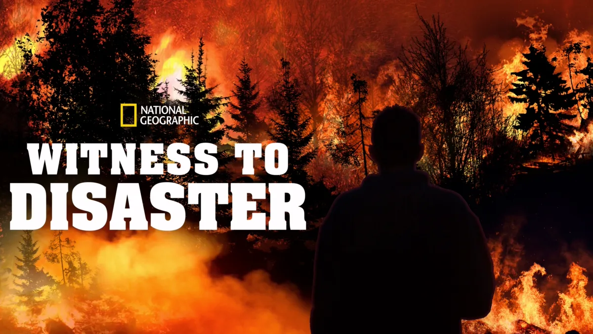 Watch Witness To Disaster | Full episodes | Disney+