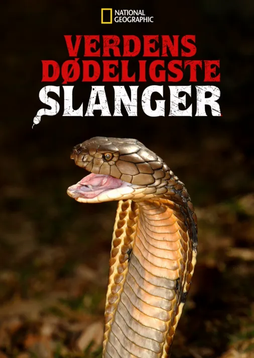 Se hele episoder av Verdens dødeligste slanger | Disney+