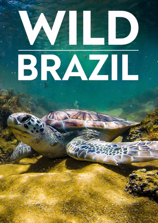 Ver los episodios completos de Wild Brazil | Disney+