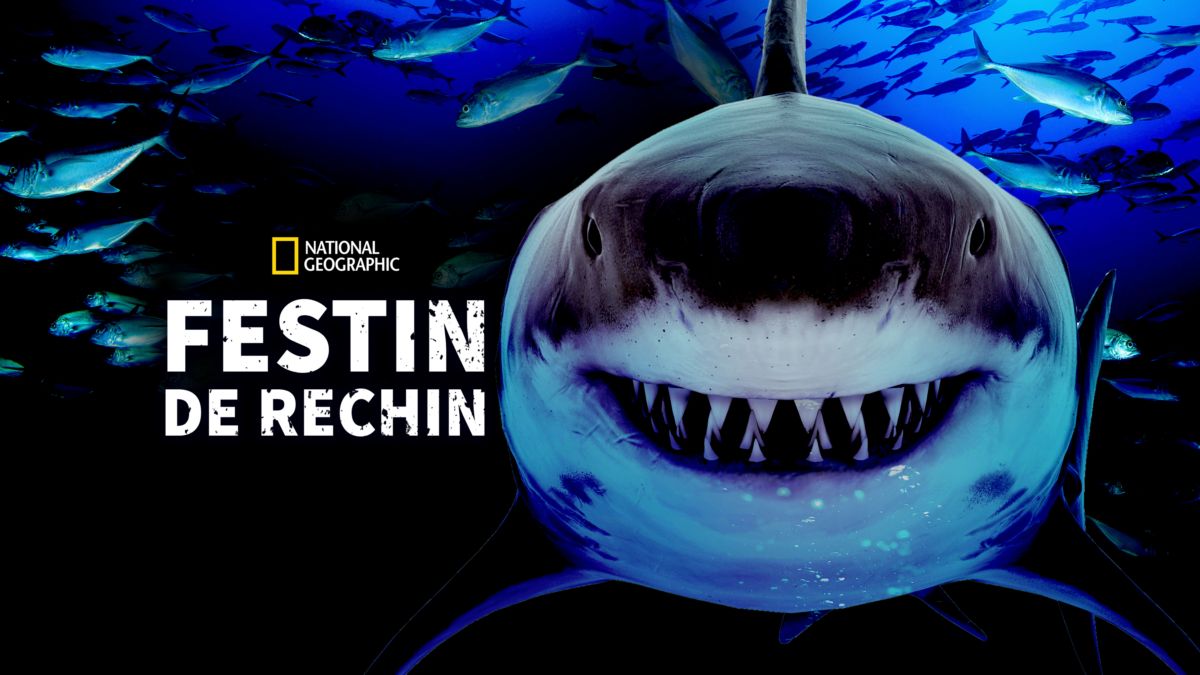 Vizionează Festin de rechin | Film integral | Disney+