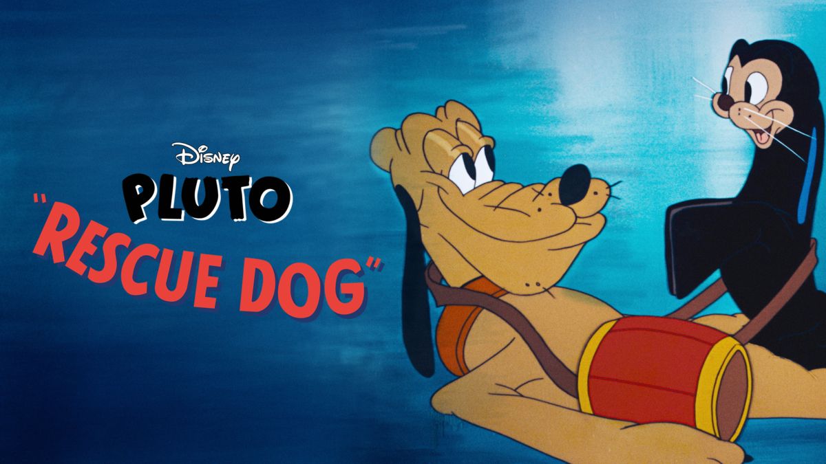Vizionează Rescue Dog | Disney+