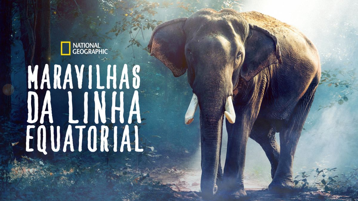 Assistir a Maravilhas da Linha Equatorial | Disney+