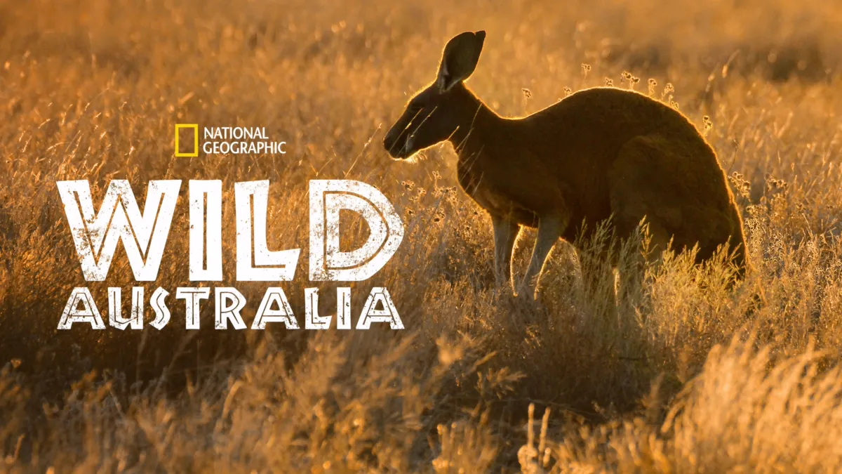 Watch Wild Australia | Disney+