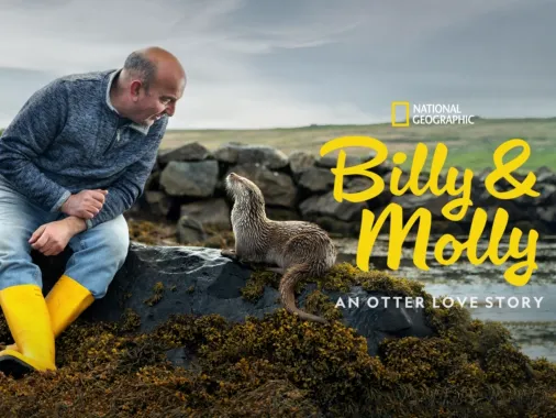 Kijk Billy & Molly: An Otter Love Story | Disney+