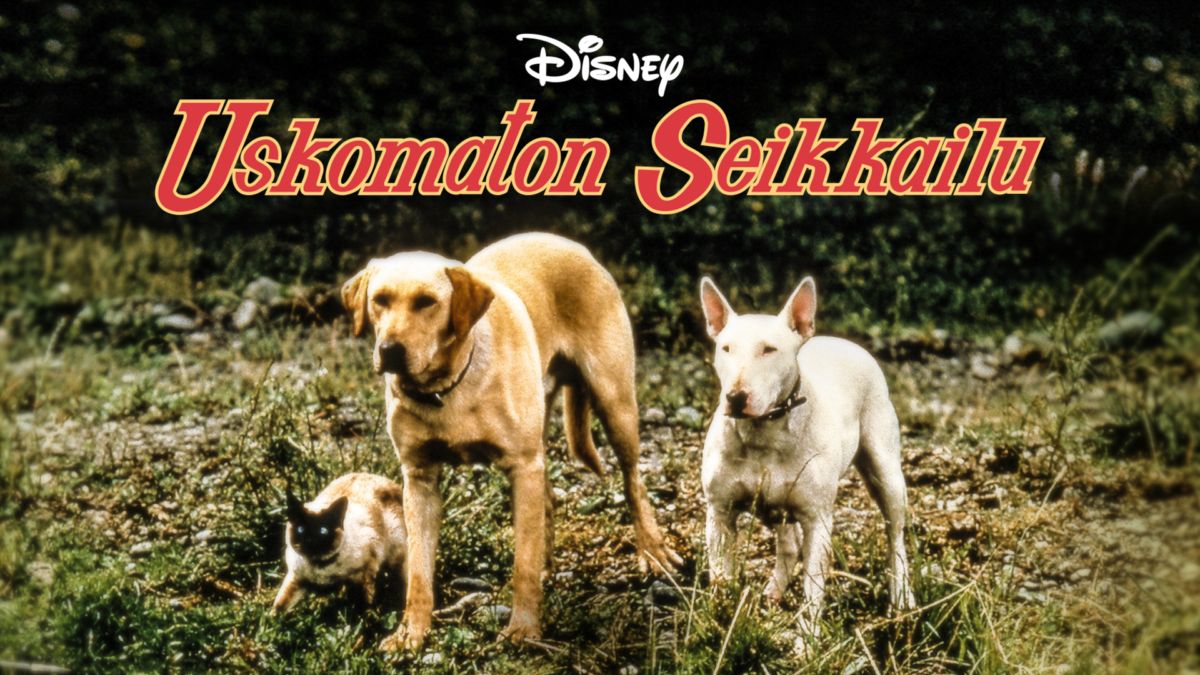 Watch Uskomaton seikkailu | Koko elokuva | Disney+