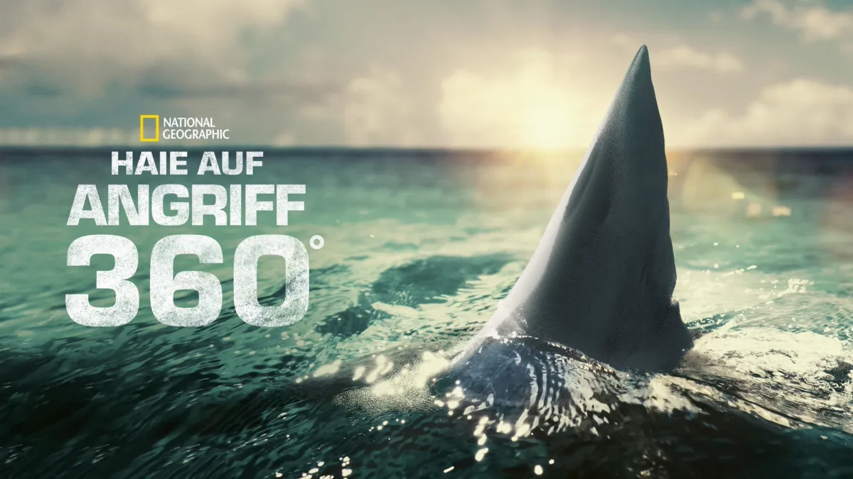 Ganze Folgen von Haie auf Angriff 360° ansehen | Disney+