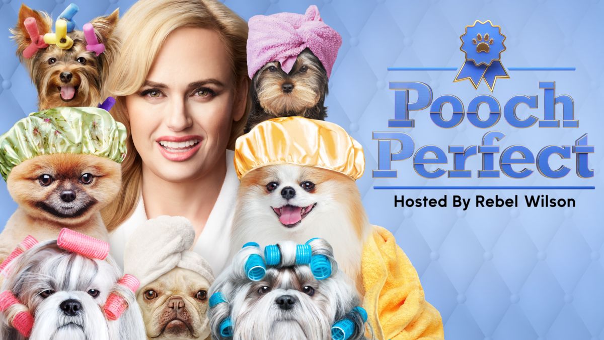 Oglądaj Pooch Perfect | Disney+