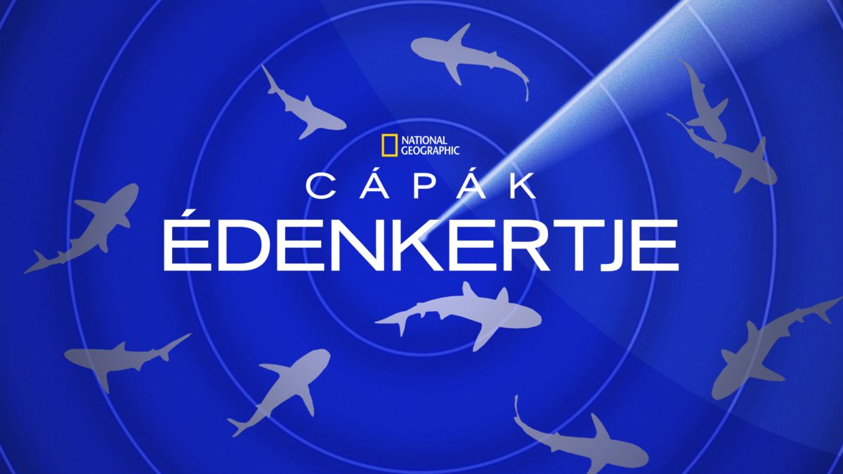 Cápák édenkertje megtekintése | Disney+