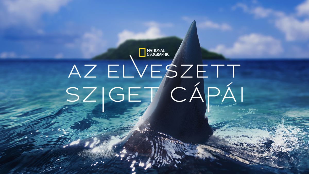 Az elveszett sziget cápái | Disney+