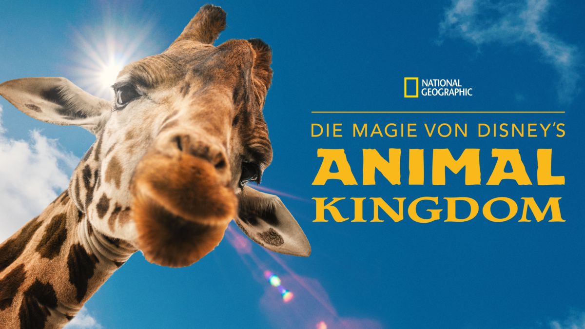 Ganze Folgen von Die Magie von Disney's Animal Kingdom ansehen | Disney+