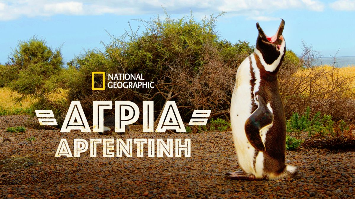 Δείτε το «Άγρια Αργεντινή» | Disney+