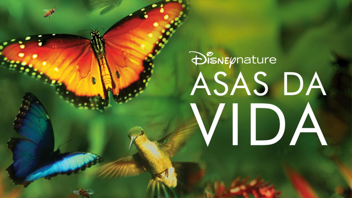 Asas da Vida | Disney+