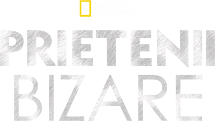 Vizionează Prietenii bizare | Disney+