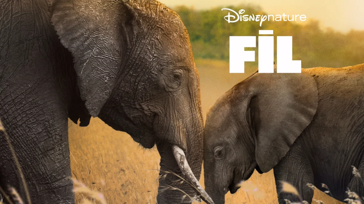 Fil İzleyin | Disney+