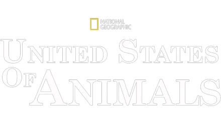 Regarder United States of Animals | Épisodes complets | Disney+