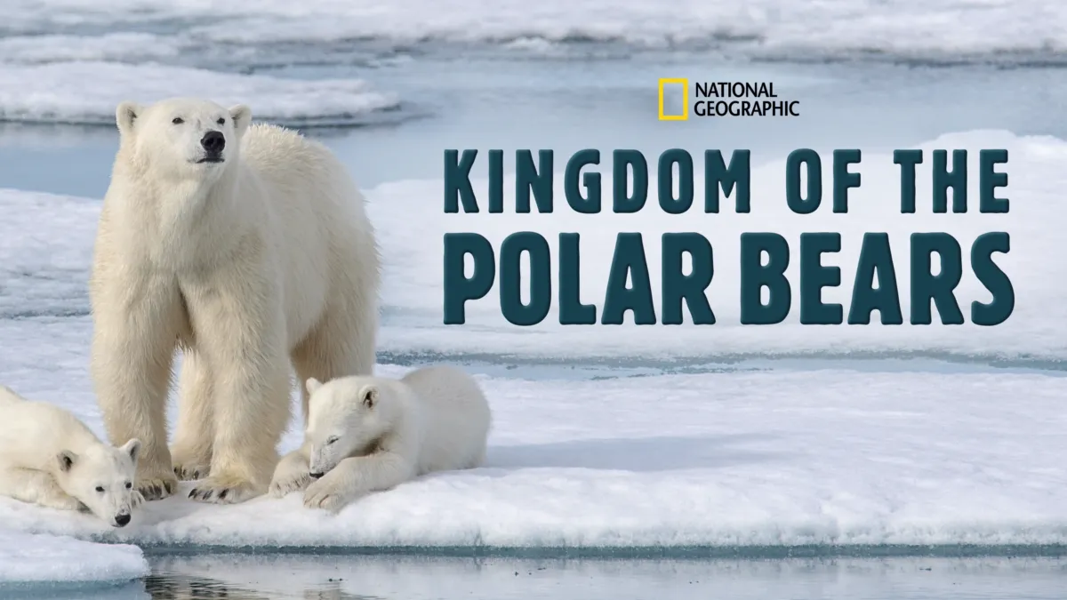 Watch Kingdom of the Polar Bears | Full episodes | Disney+