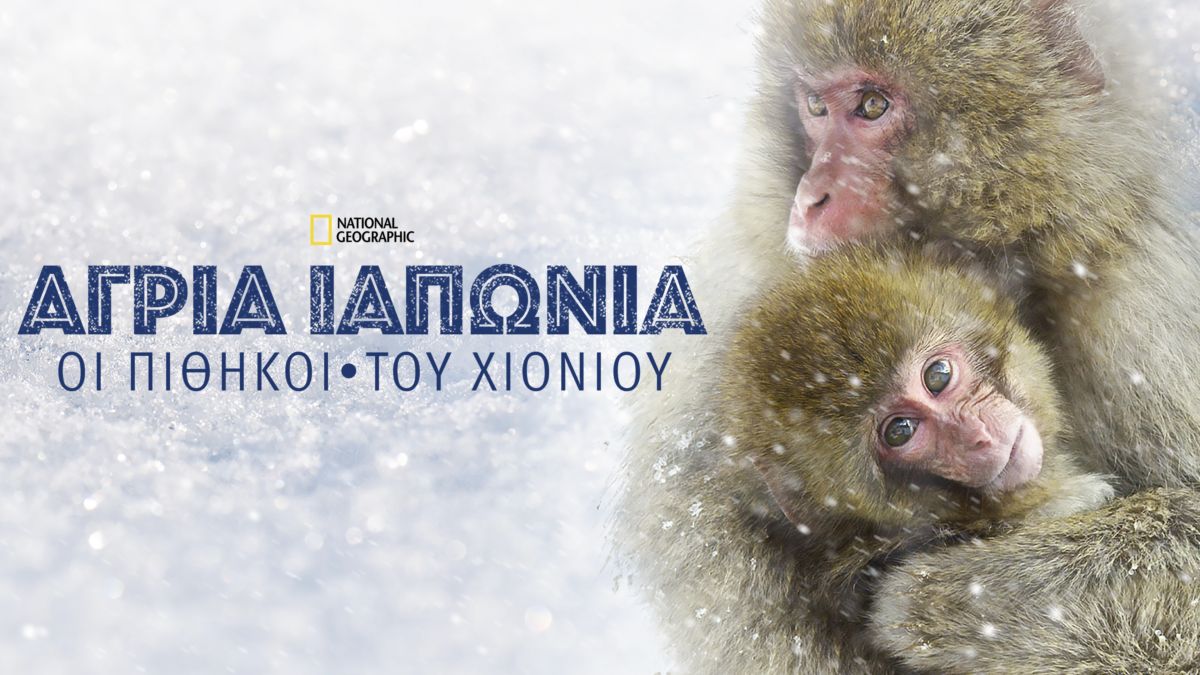 Δείτε το «Άγρια Ιαπωνία: Οι Πίθηκοι του Χιονιού» | Disney+