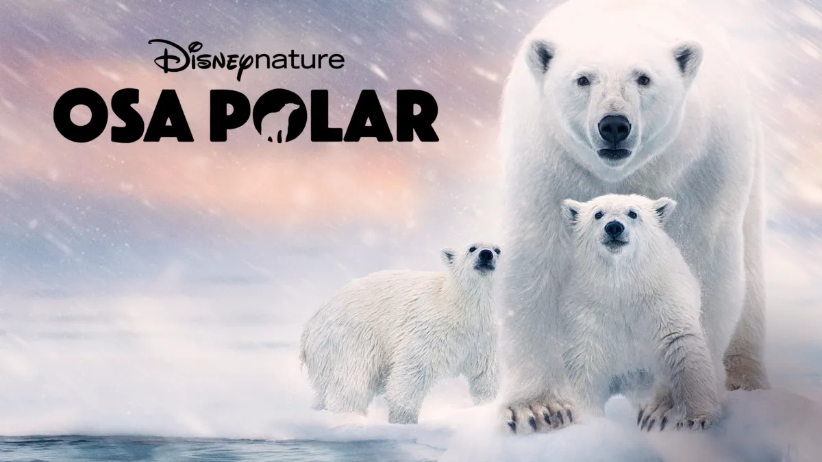 Ver Osa polar | Disney+