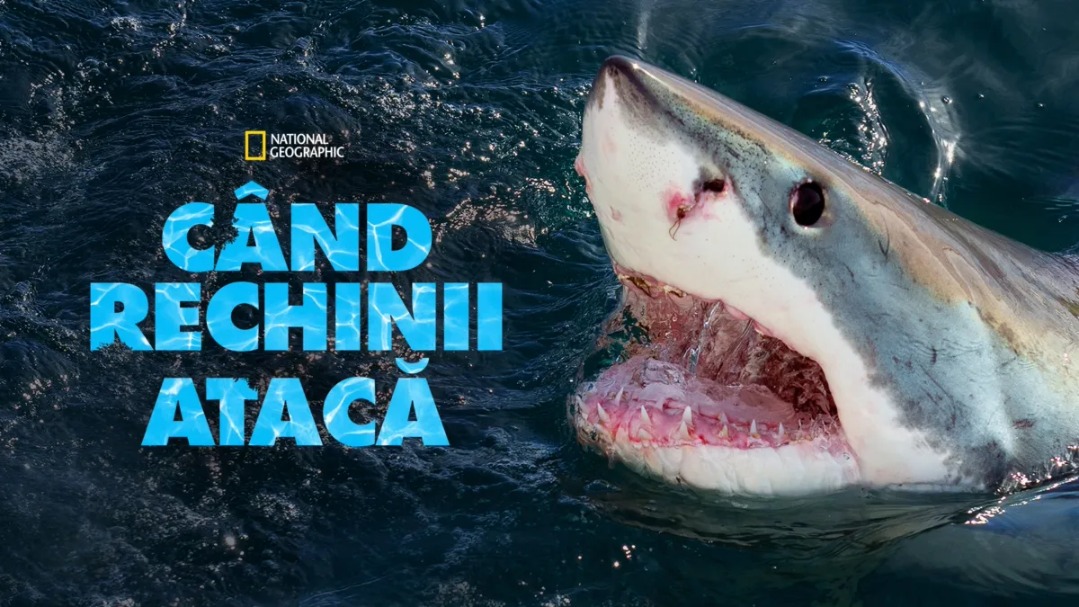 Vizionează Când rechinii atacă | Disney+