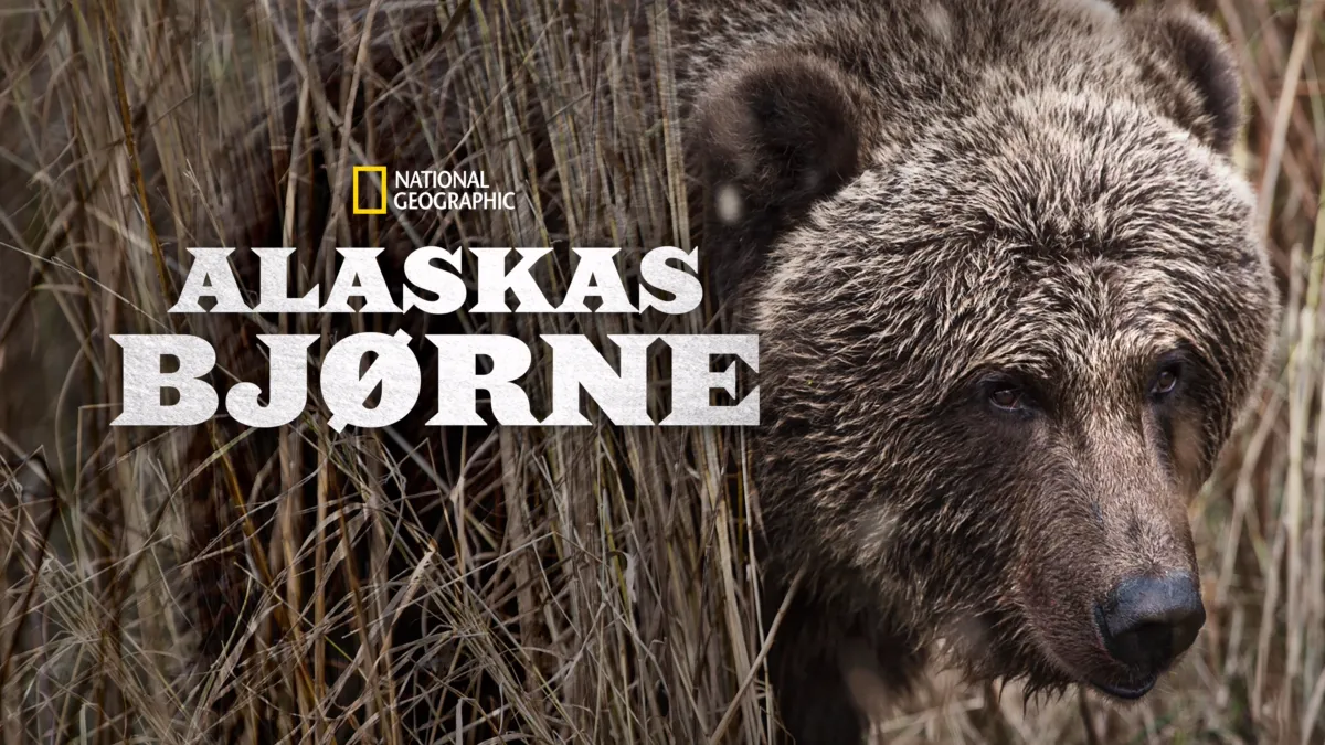 Se hele afsnit af Alaskas bjørne | Disney+
