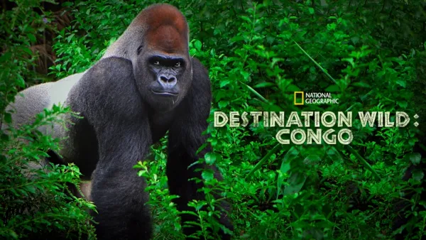 Regarder Destination Wild: Argentine | Épisodes complets | Disney+