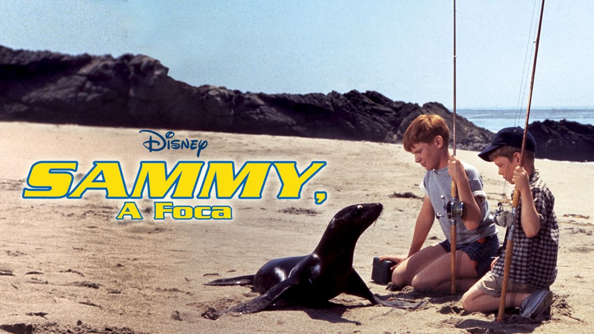 Sammy, a Foca | Disney+