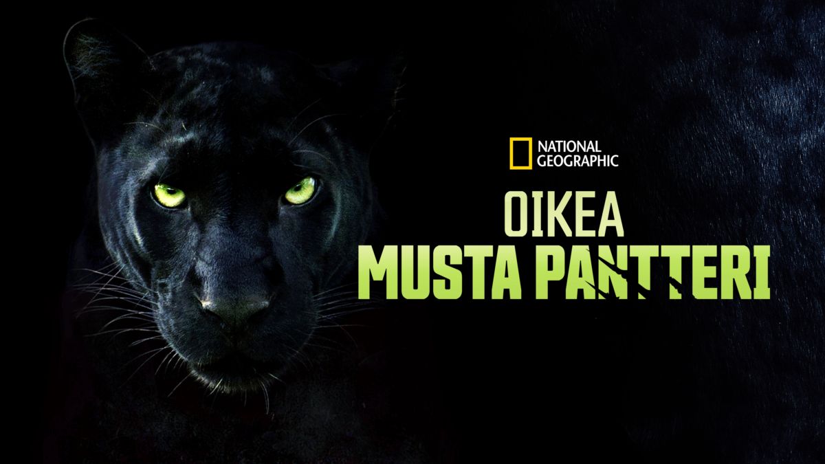 Oikea musta pantteri | Disney+
