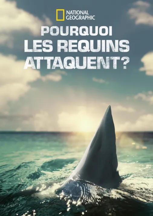 Regarder When Sharks Attack 360 | Épisodes complets | Disney+
