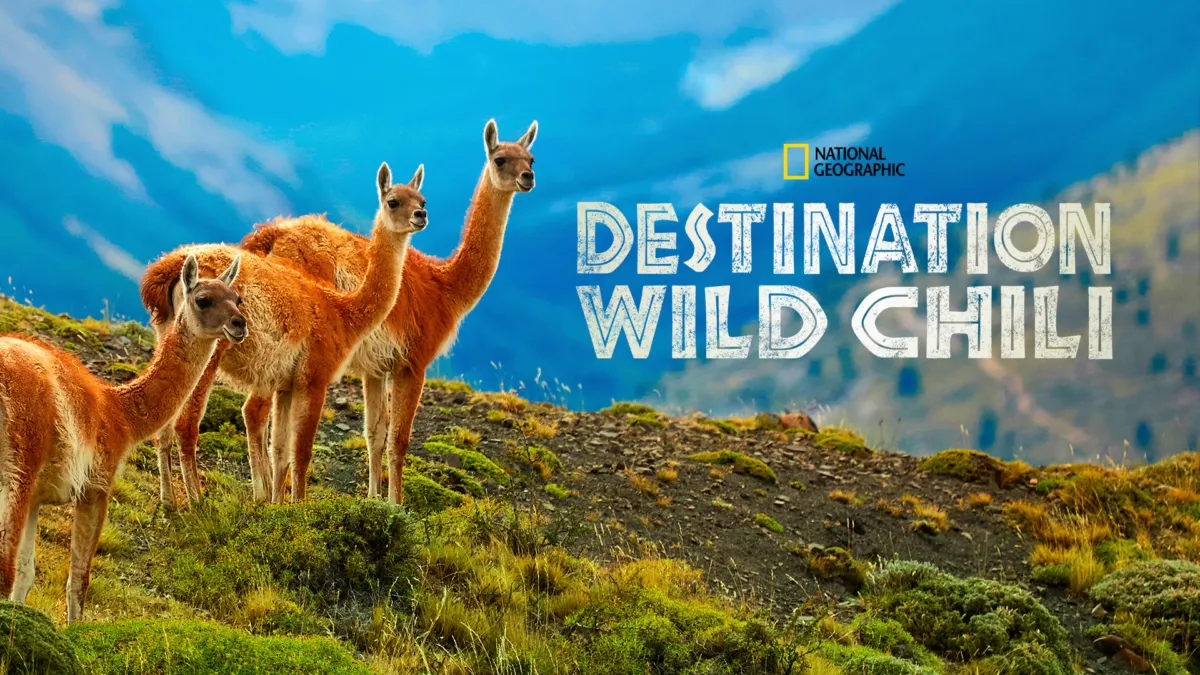 Regarder Destination Wild Chili | Épisodes complets | Disney+