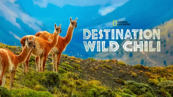 Regarder Destination Wild : Portugal | Disney+